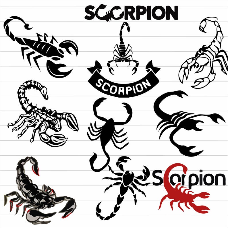 Scorpion With Rose Svg, Scorpion Svg, Scorpion Clipart, Scorpion Cricut ...