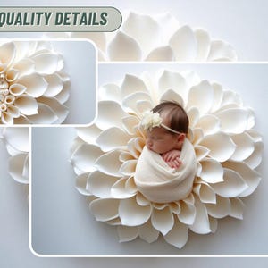 Newborn Floral Digital Background Photography Overlays Creative ...