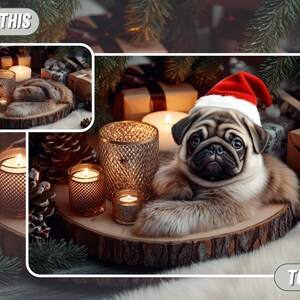 Christmas Puppy Studio Digital Background Holiday Portrait Backdrop ...