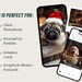 Christmas Puppy Studio Digital Background Holiday Portrait Backdrop ...