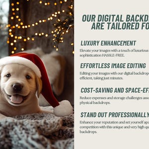 Christmas Puppy Studio Digital Background Holiday Portrait Backdrop ...