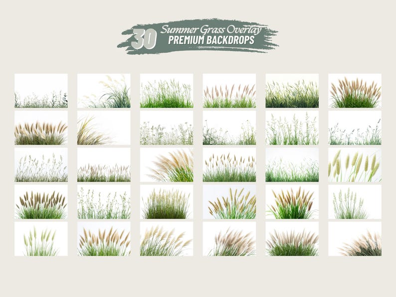 Summer Grass Photo Overlays Summer Grass Overlays Photoshop Background ...