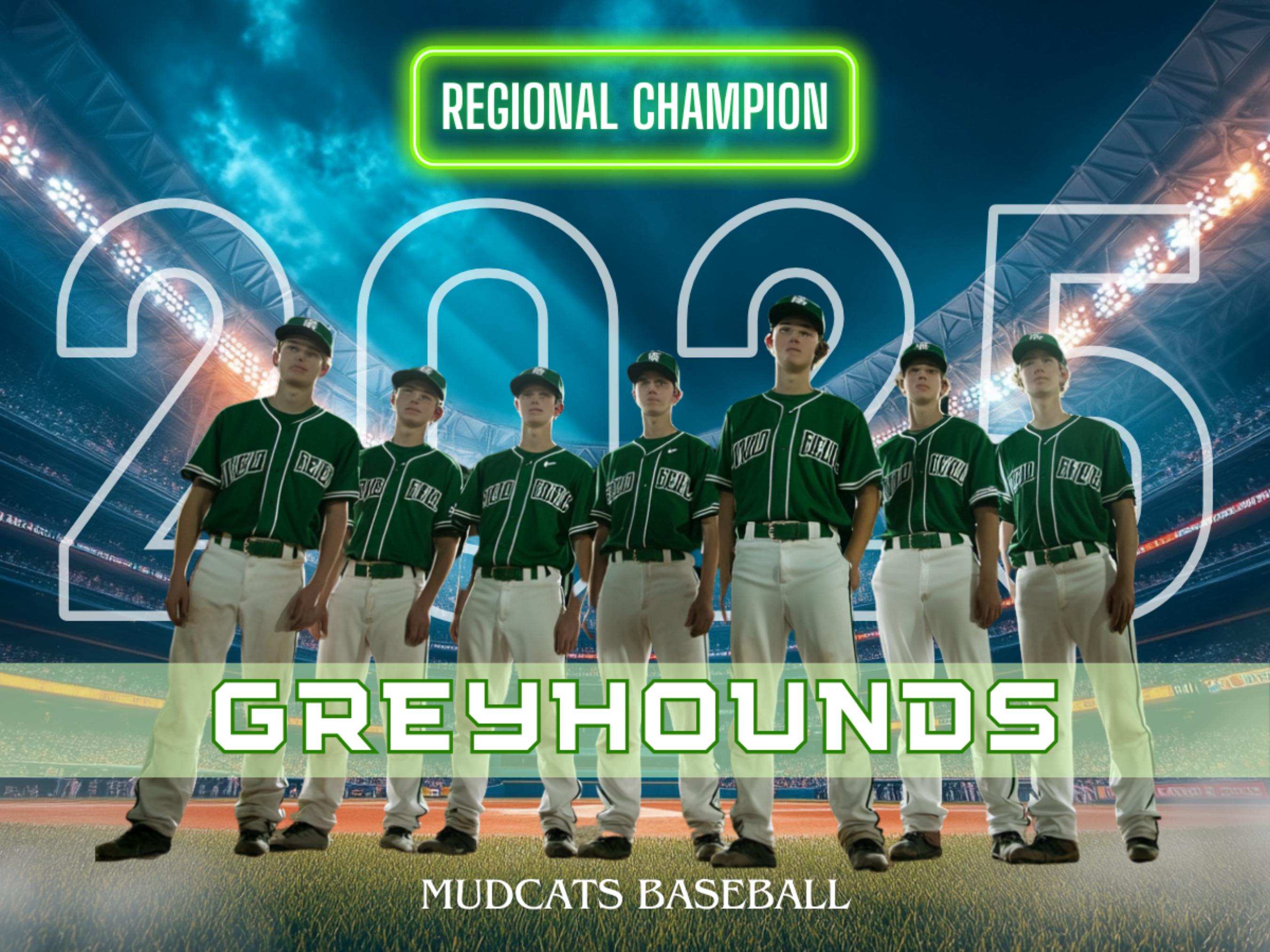Baseball Team Canva Template Baseball Backdrop for Sports Poster Design ...