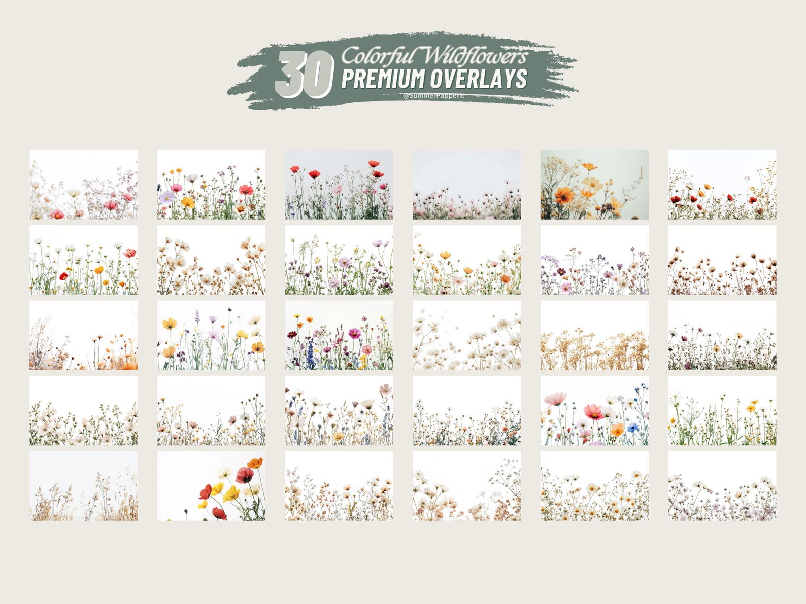Wildflower Photo Overlays Summer Floral Overlays Photoshop Background ...