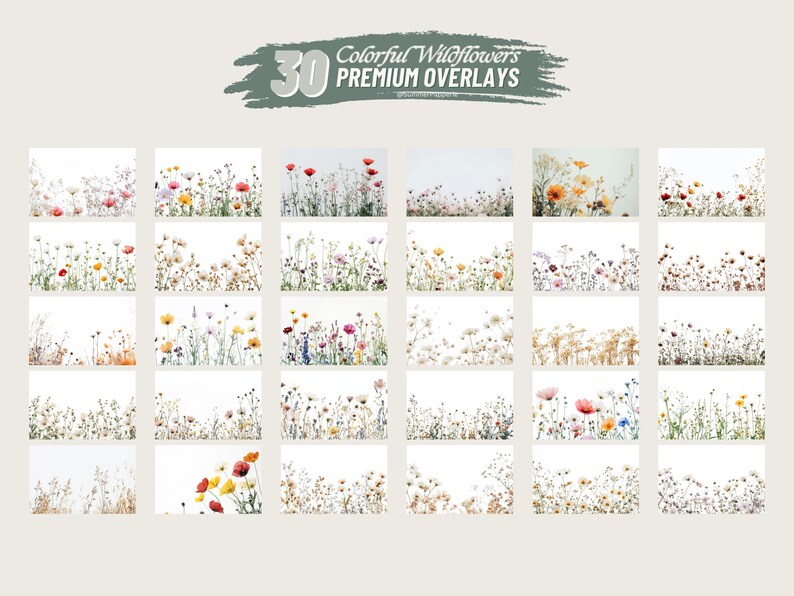 Wildflower Photo Overlays Summer Floral Overlays Photoshop Background ...