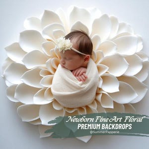 Newborn Floral Digital Background Photography Overlays Creative ...