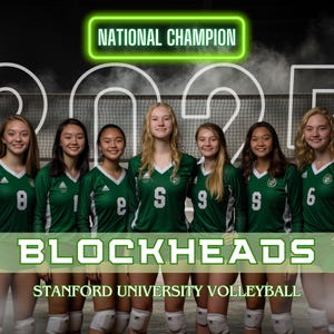 Volleyball Team Canva Template Volleyball Backdrop for Sports Poster ...