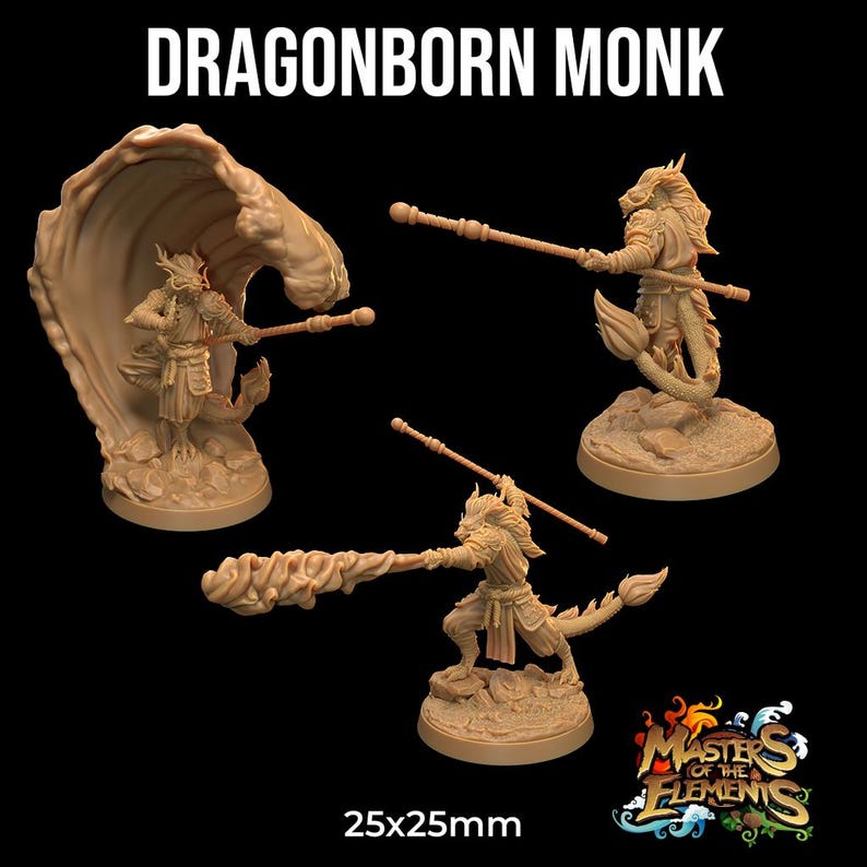 Dragonborn Monk Master of the Elements |the Dragon Trappers Lodge ...