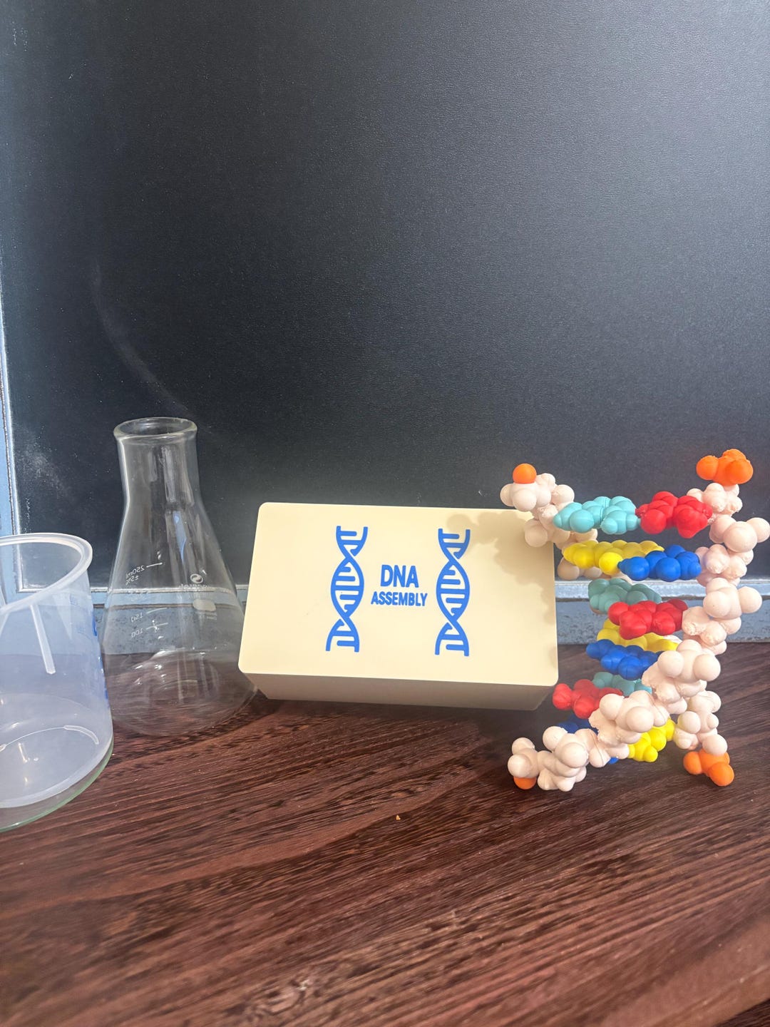 6-base DNA Assembly Kit + NGSS Curriculum | STEM Genetics Model for ...