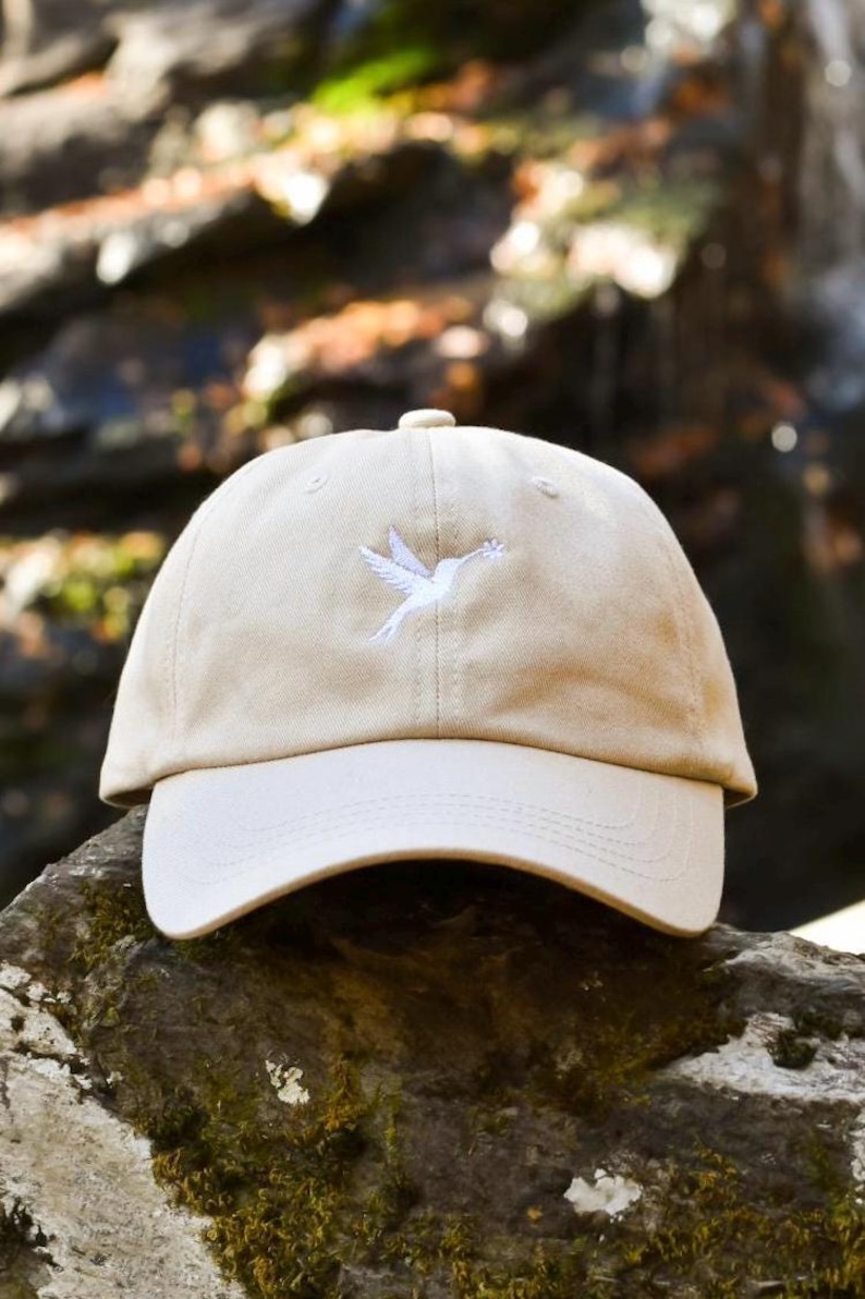 Hummingbird Hat - Etsy