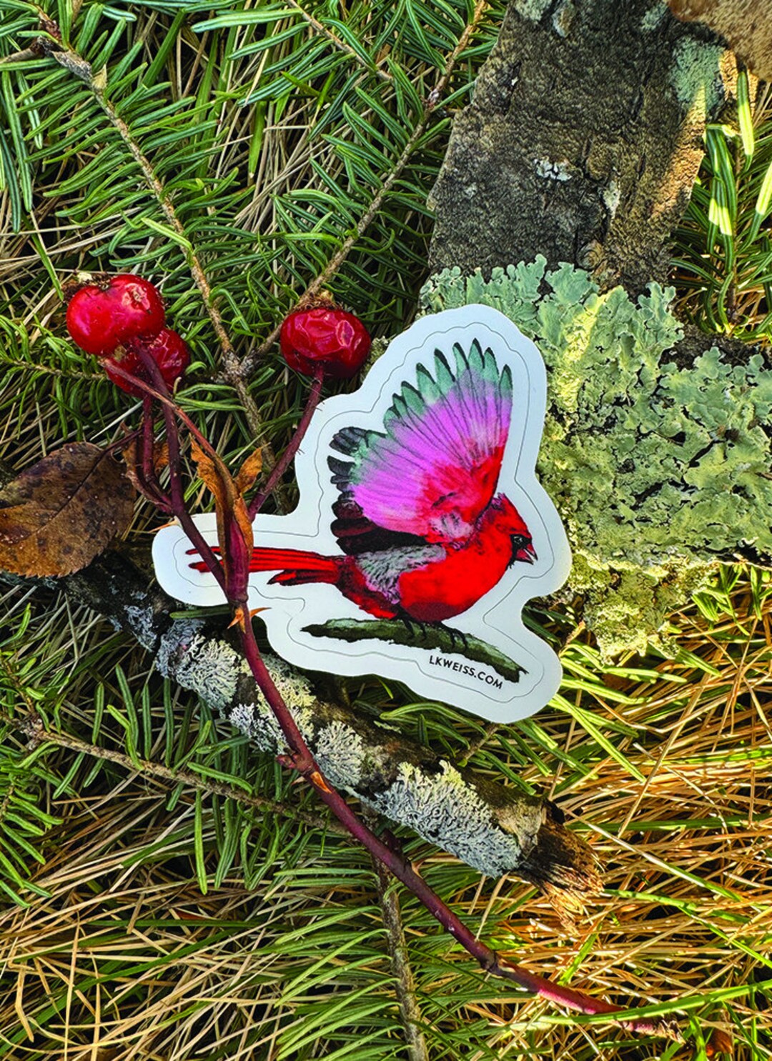 Cardinal in Flight Sticker - Etsy