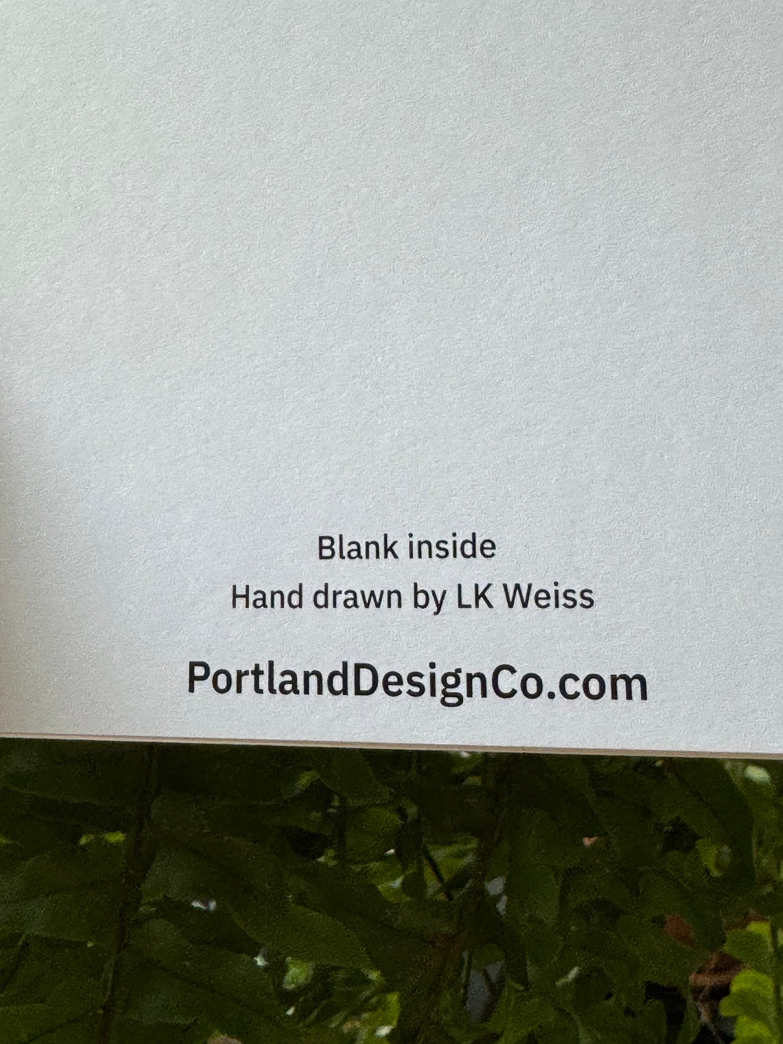 Skunk Greeting Card - Etsy