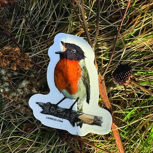 American Robin Sticker - Etsy