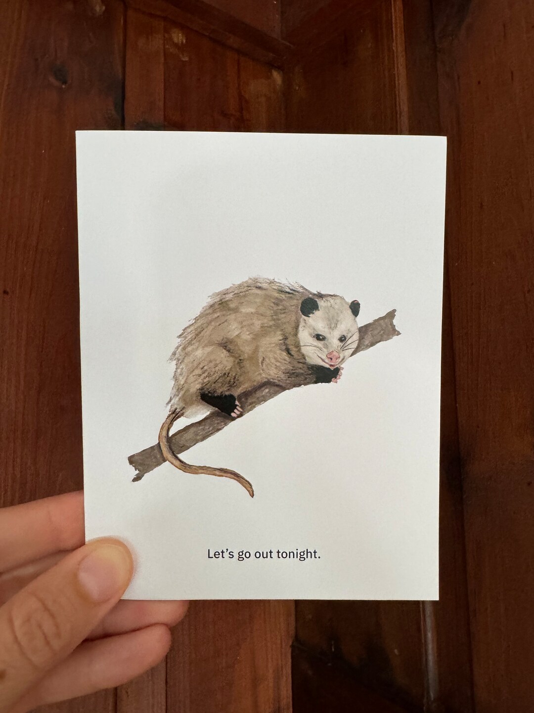 Possum Greeting Card - Etsy