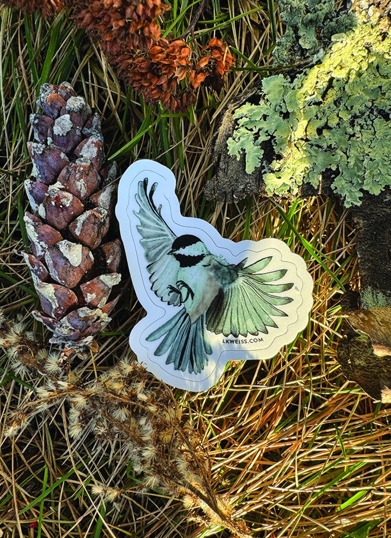 Chickadee Flying Sticker - Etsy