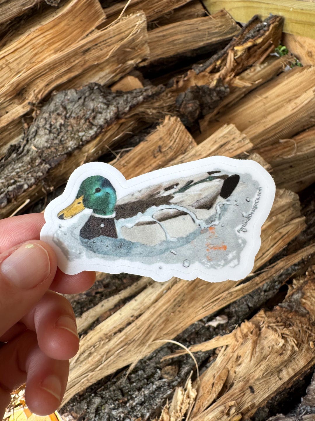 Mallard Duck Sticker - Etsy