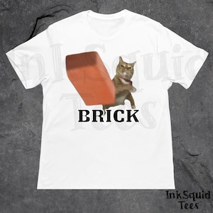 Funny Cat Throwing Brick T-shirt, Meme Shirt, Silly Cats Tee, Unhinged ...