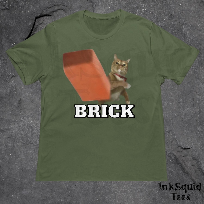 Funny Cat Throwing Brick T-shirt, Meme Shirt, Silly Cats Tee, Unhinged ...