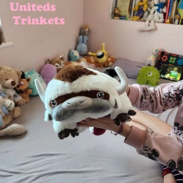 Avatar the Last Airbender Costume - Etsy