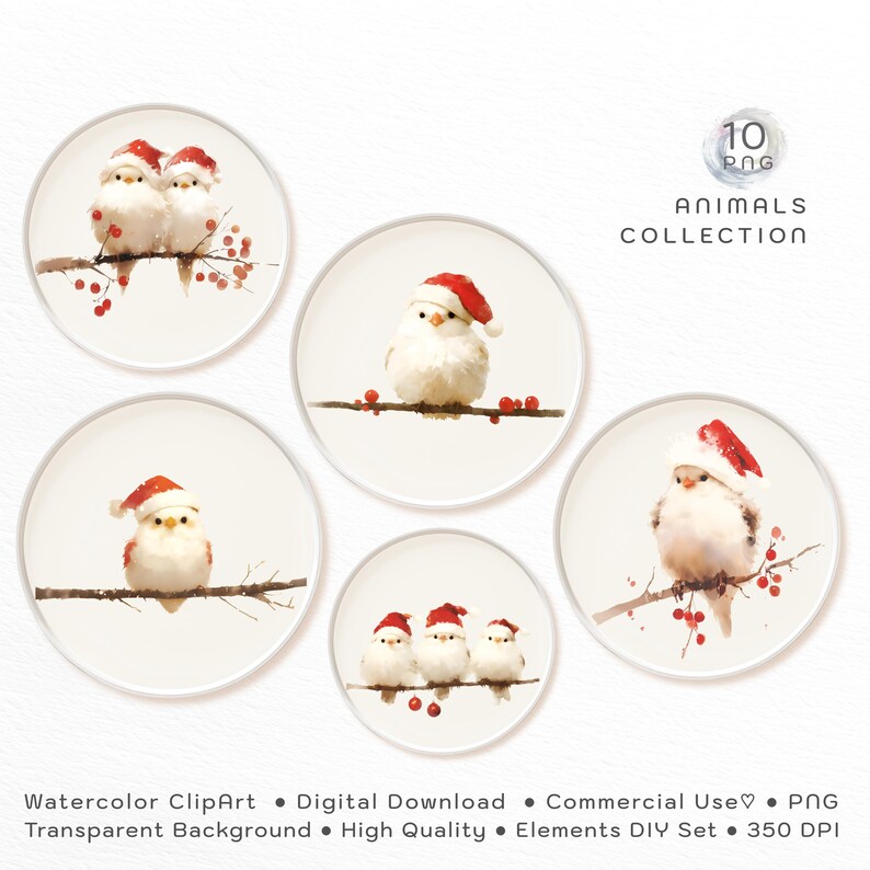 Santa Bird Clipart L Clip Art | Christmas Bird Clipart| Digital ...