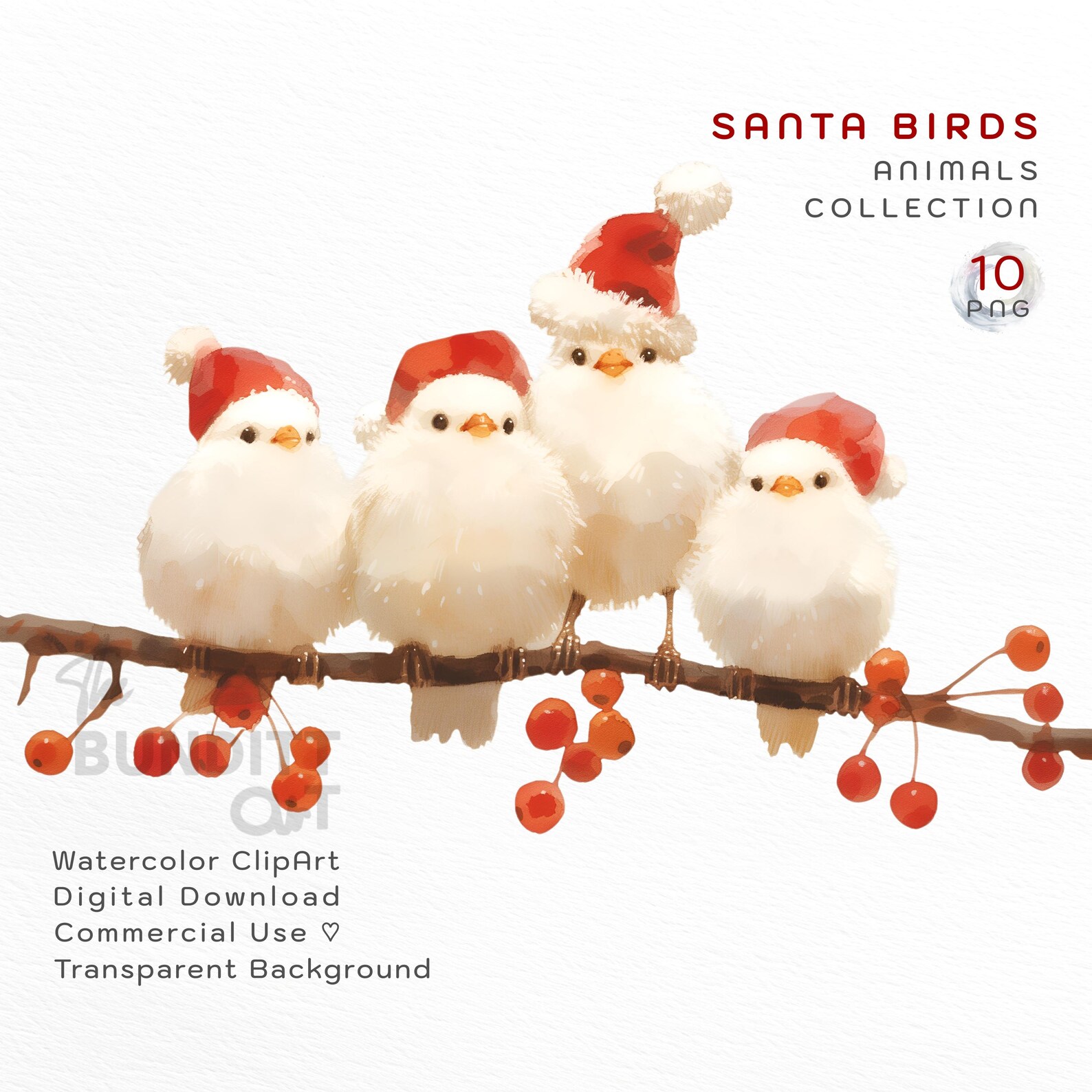 Santa Bird Clipart L Clip Art | Christmas Bird Clipart| Digital ...