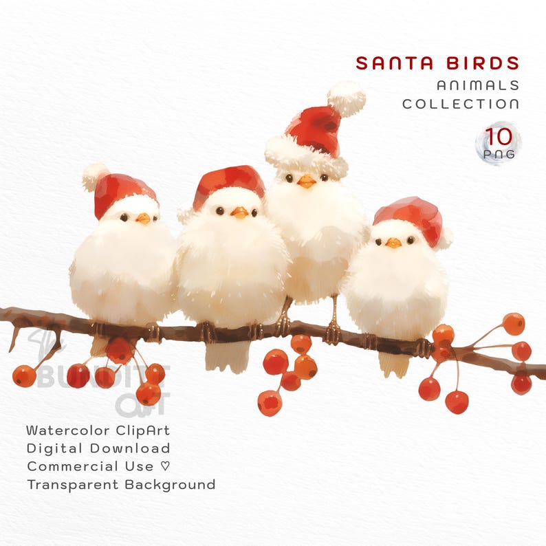 Santa Bird Clipart L Clip Art | Christmas Bird Clipart| Digital ...