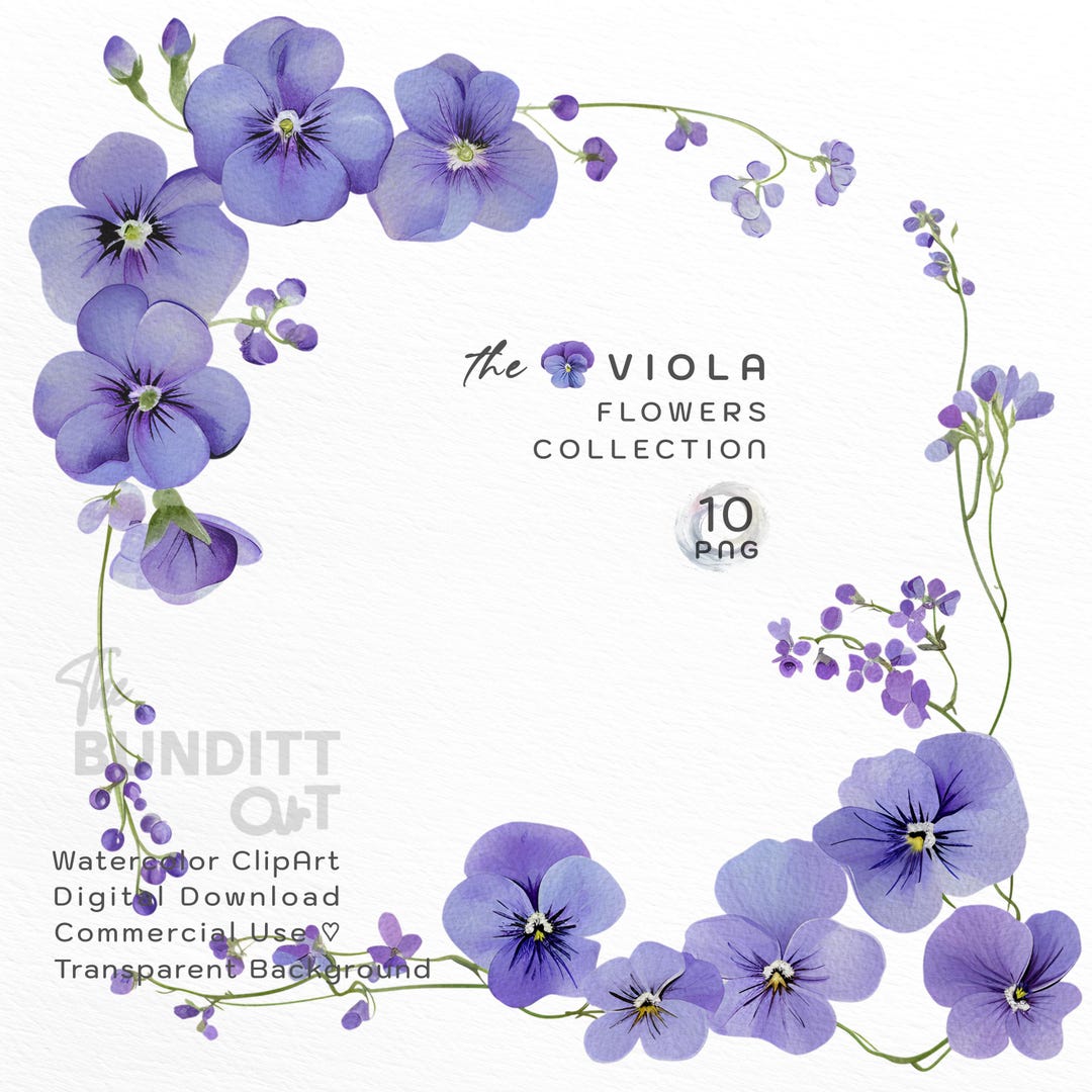 10 Viola Watercolor Flowers Clipart | PNG Files | Transparent ...