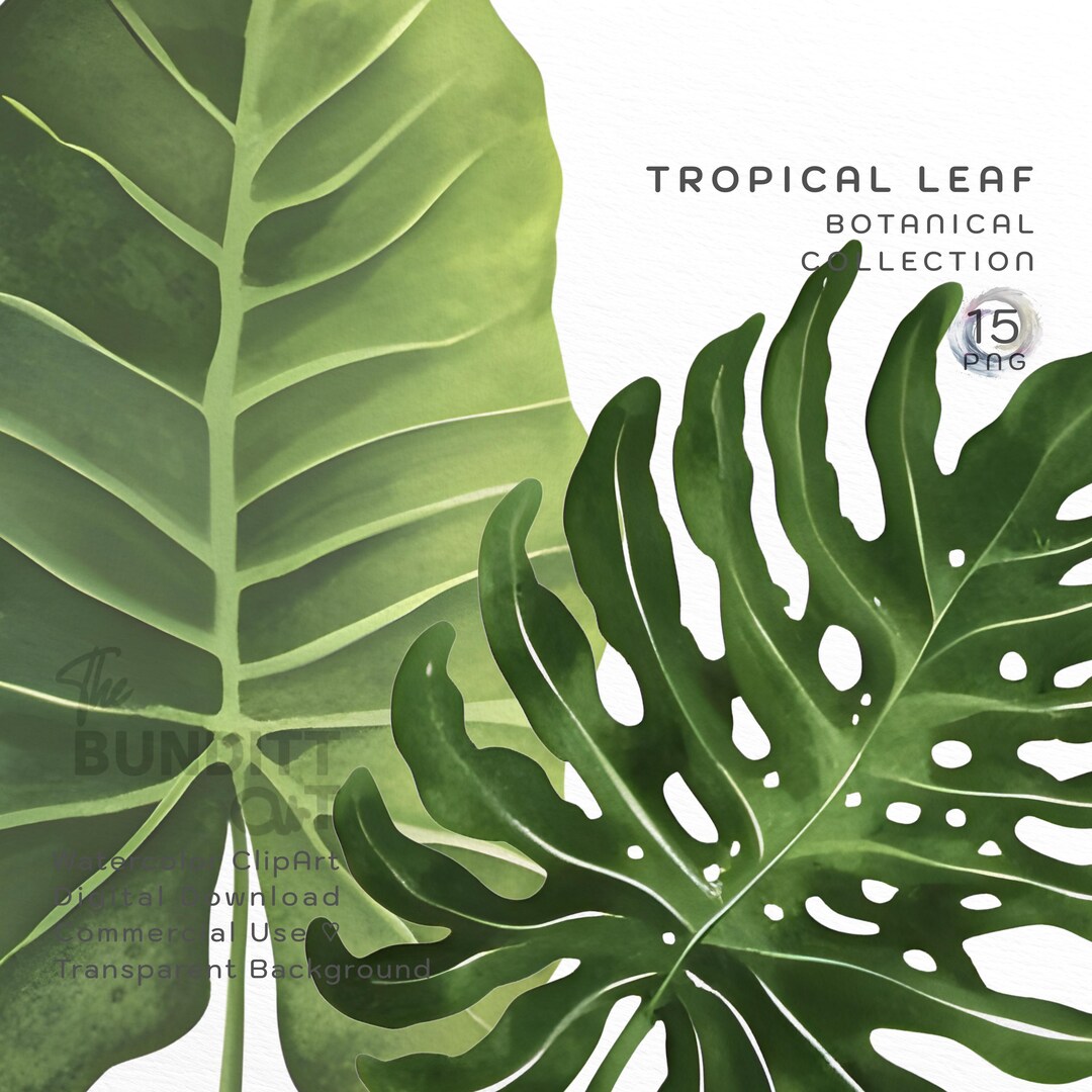 Tropical Leaf Watercolor Clipart: 15 PNG Greenery Designs (digital ...
