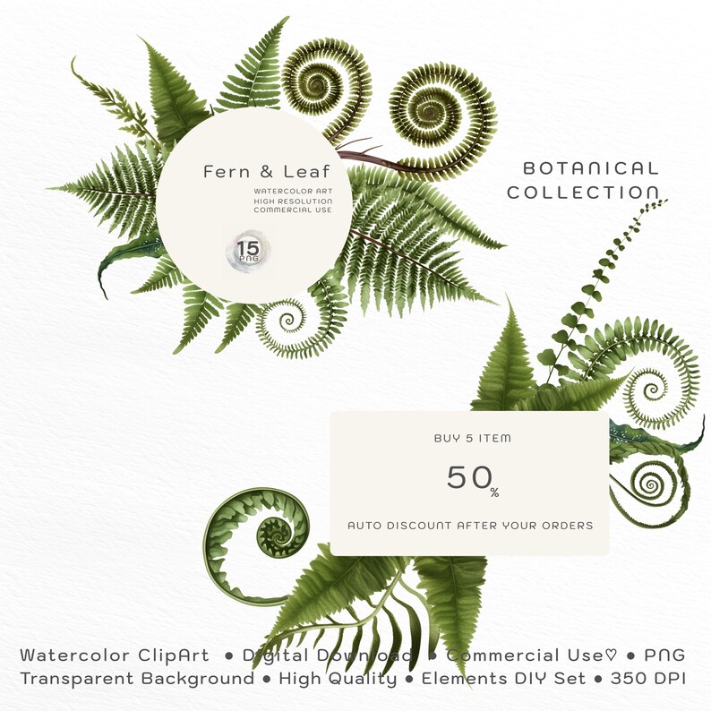 Botanical Fern Clipart Watercolor Clip Art Digital Download PNG ...
