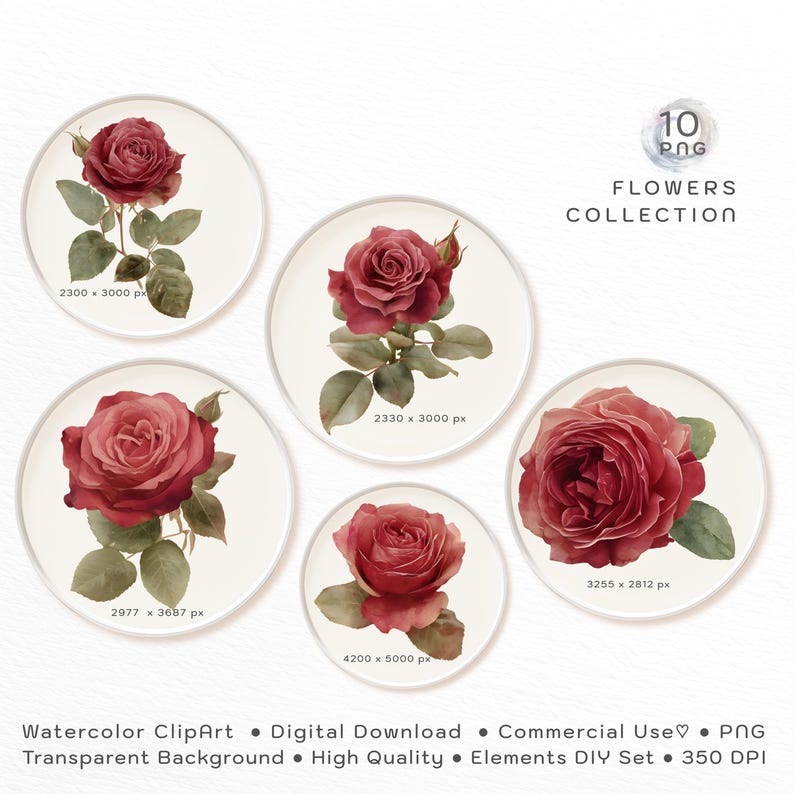 Rose Clipart | Red Rose Watercolor | Digital Download for Invitations ...