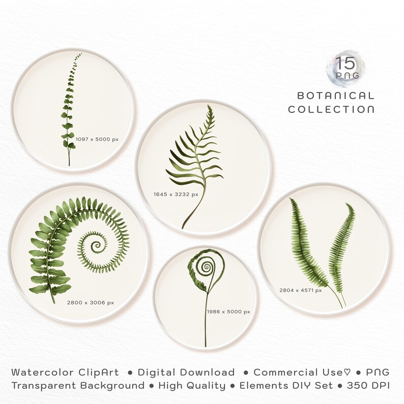 Botanical Fern Clipart Watercolor Clip Art Digital Download PNG ...