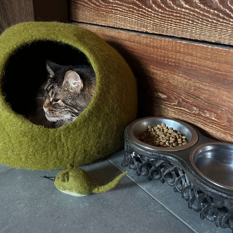 Felted Cat Cave Pattern - Etsy