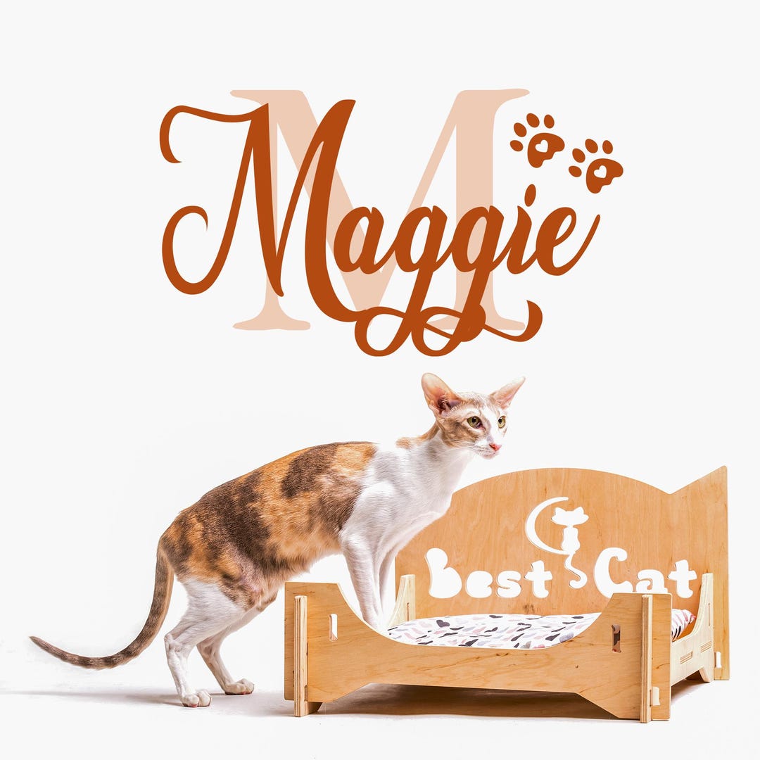 Cat Name Sticker Personalized Wall Decal Name Sign Custom Pawprint - Etsy