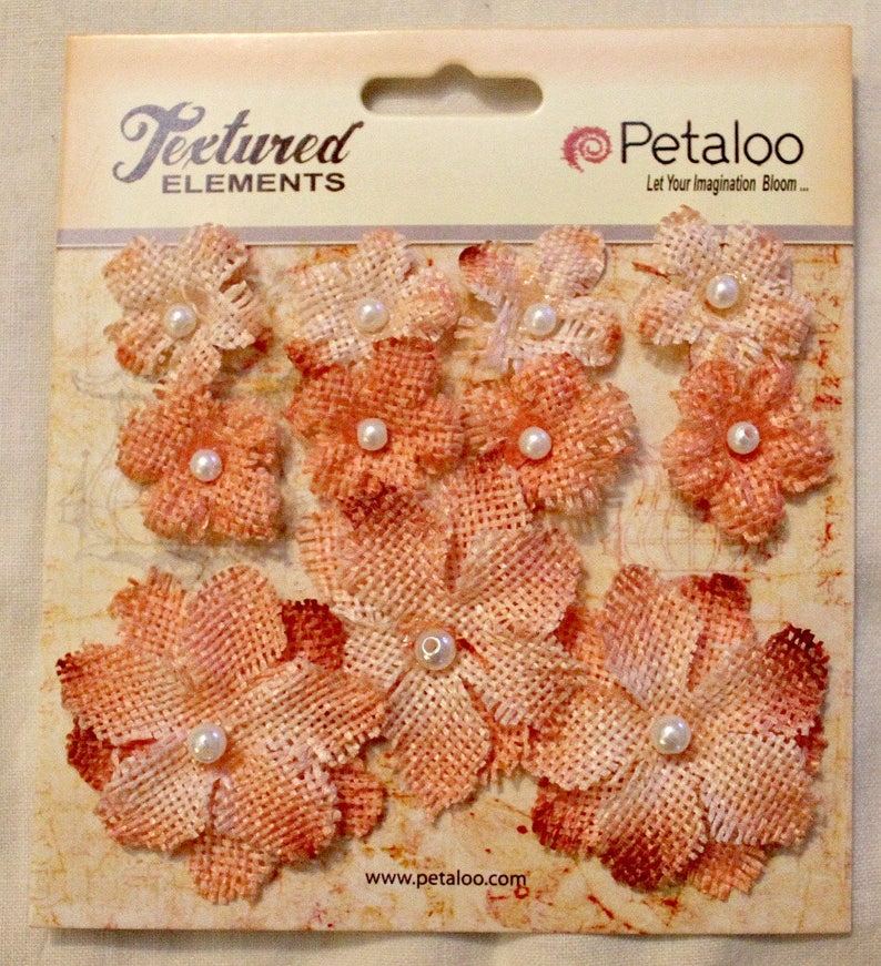 Under the Sea Embellishment Bundle, Nautical/ocean Theme Chipboard ...