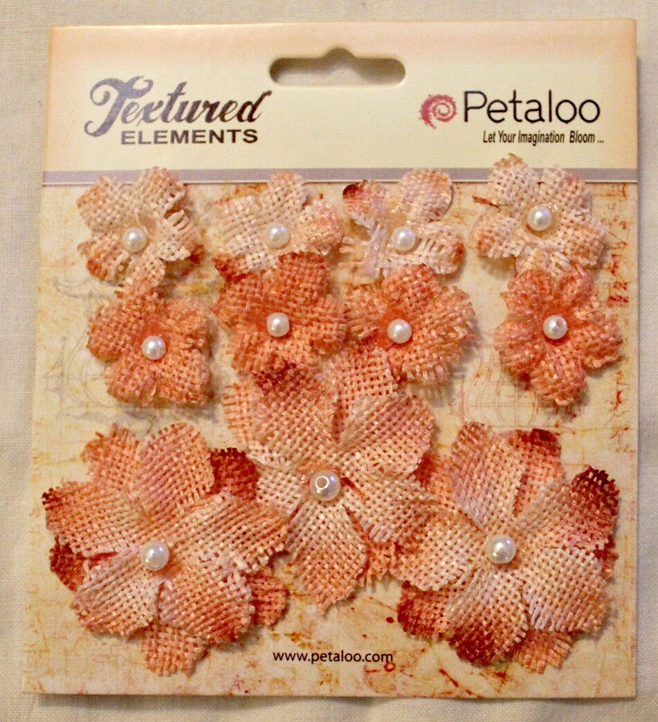 Under the Sea Embellishment Bundle, Nautical/ocean Theme Chipboard ...