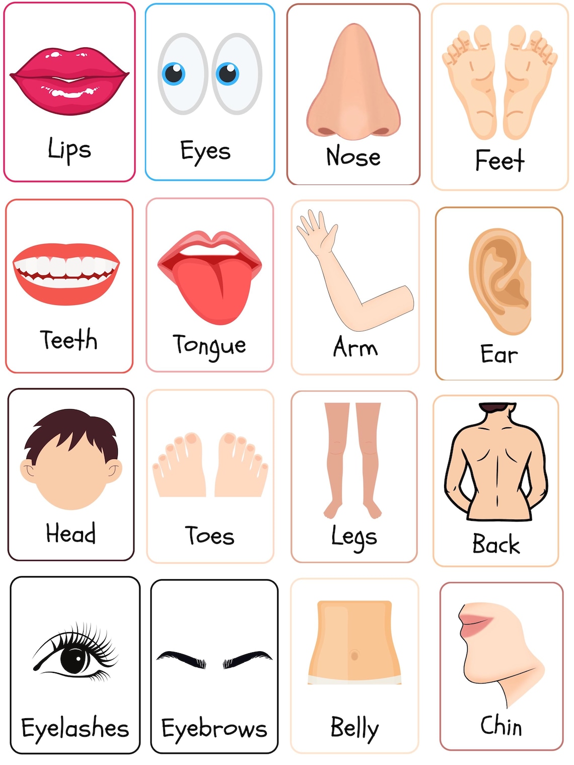 Learn Your Body Parts, Body Part Flashcards, Digital Body Part ...