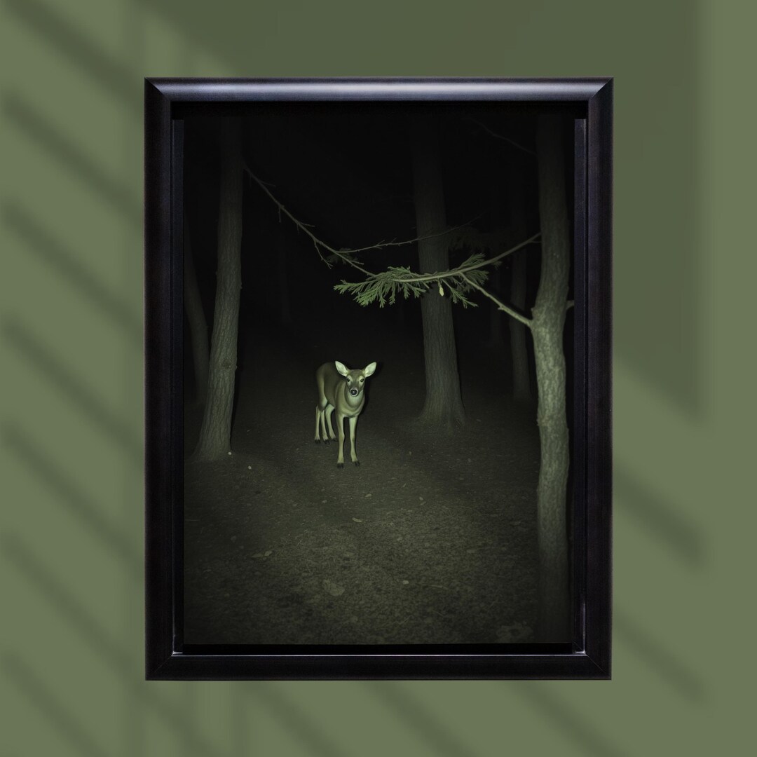 Surreal 5-legged Deer in Dark Forest - Eerie Digital Art Download for ...