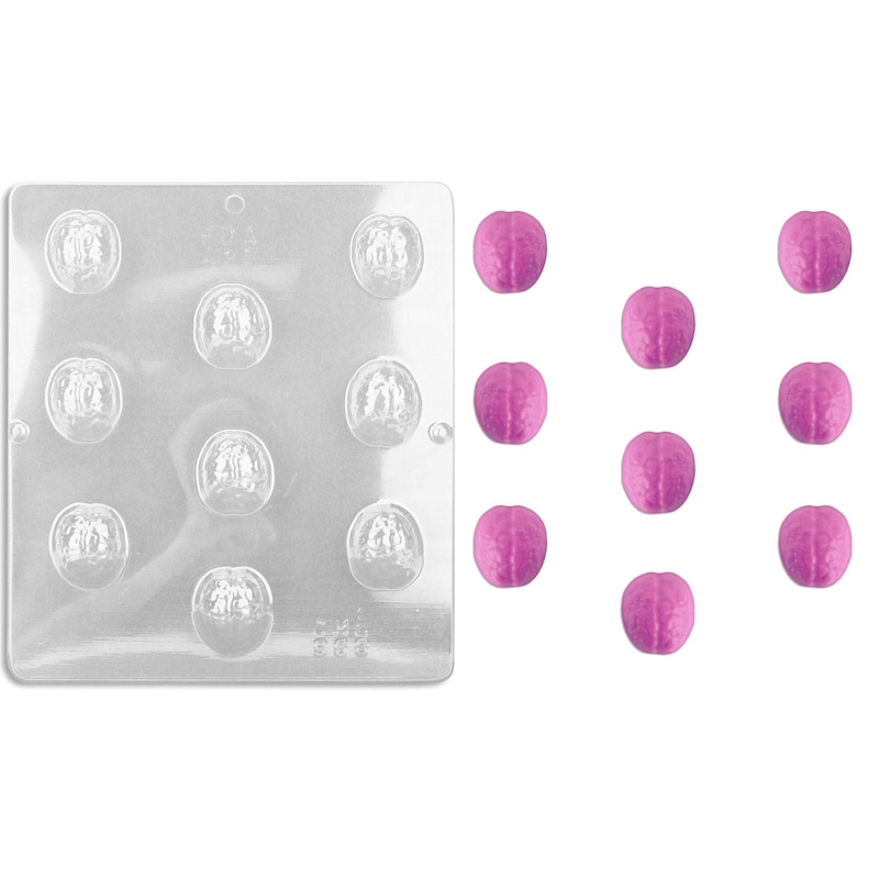 Brain Candy Mold - Etsy