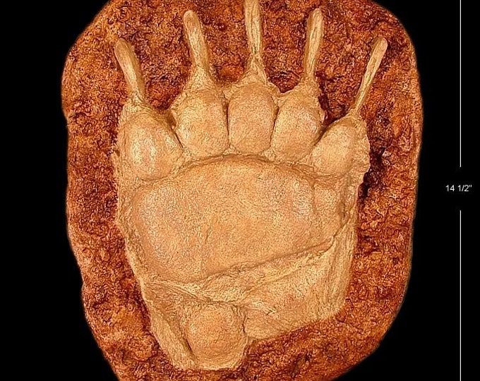 Enormous Kodiak Bear Paw Track Print - Etsy
