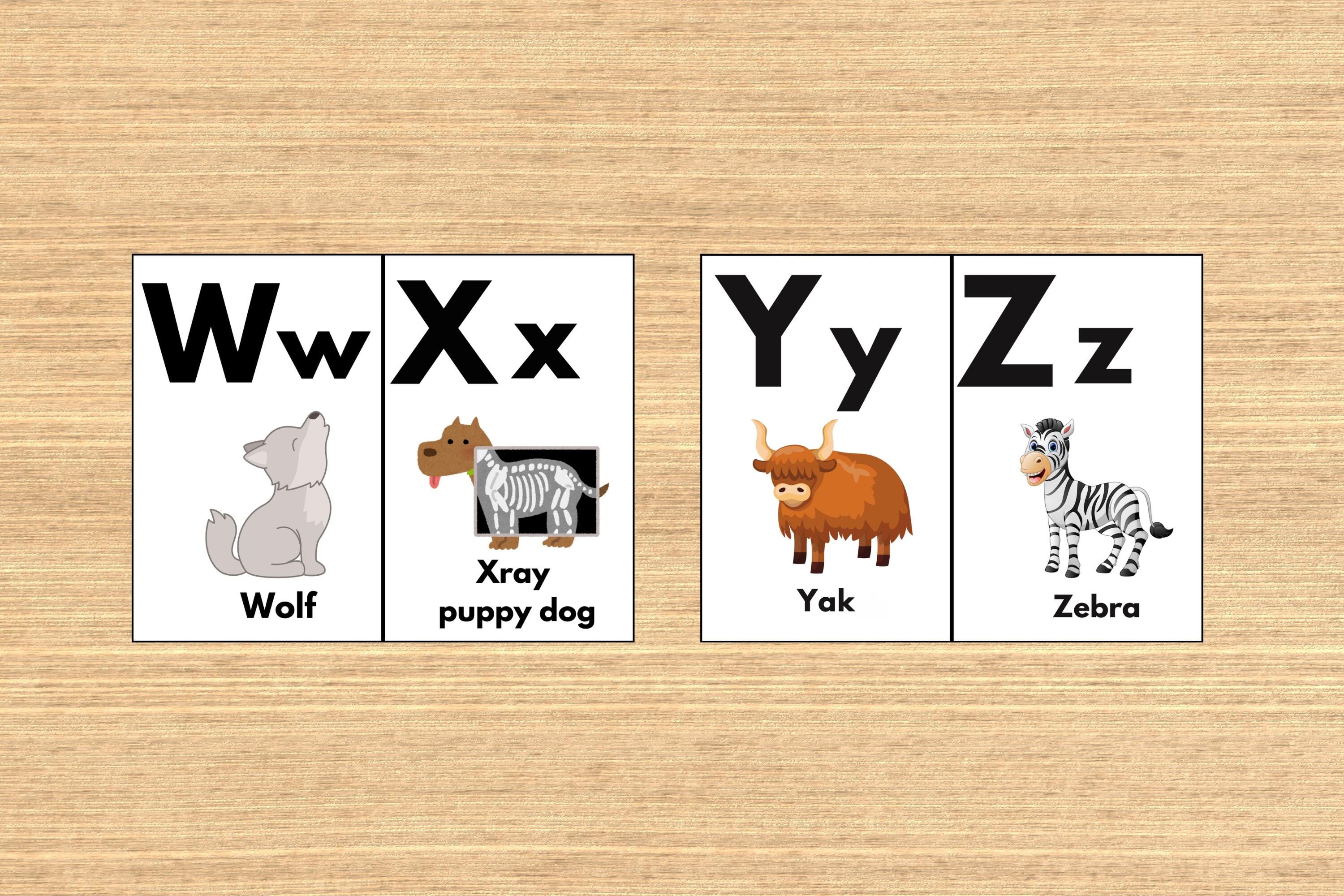 Animal ABC Flashcards,abc Flashcards,printable Flashcards,preschool ...