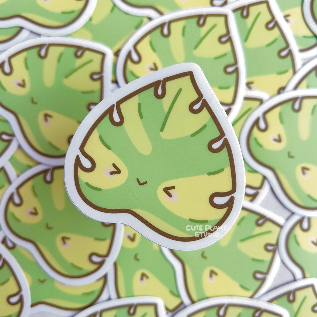 Variegated Monstera Aurea Leaf Sticker Waterproof Weatherproof ...