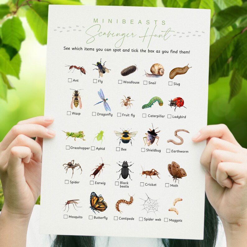 Minibeast Bug Scavenger Hunt, Printable Outdoor Walk Activities for ...