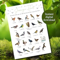 Wildlife in the Water Scavenger Hunt - Etsy