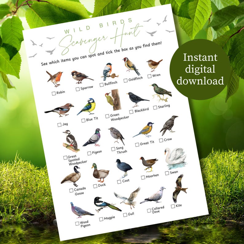 Wild Bird Scavenger Hunt, Printable Outdoor Walk Activities for ...