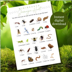 Minibeast Bug Scavenger Hunt, Printable Outdoor Walk Activities for ...
