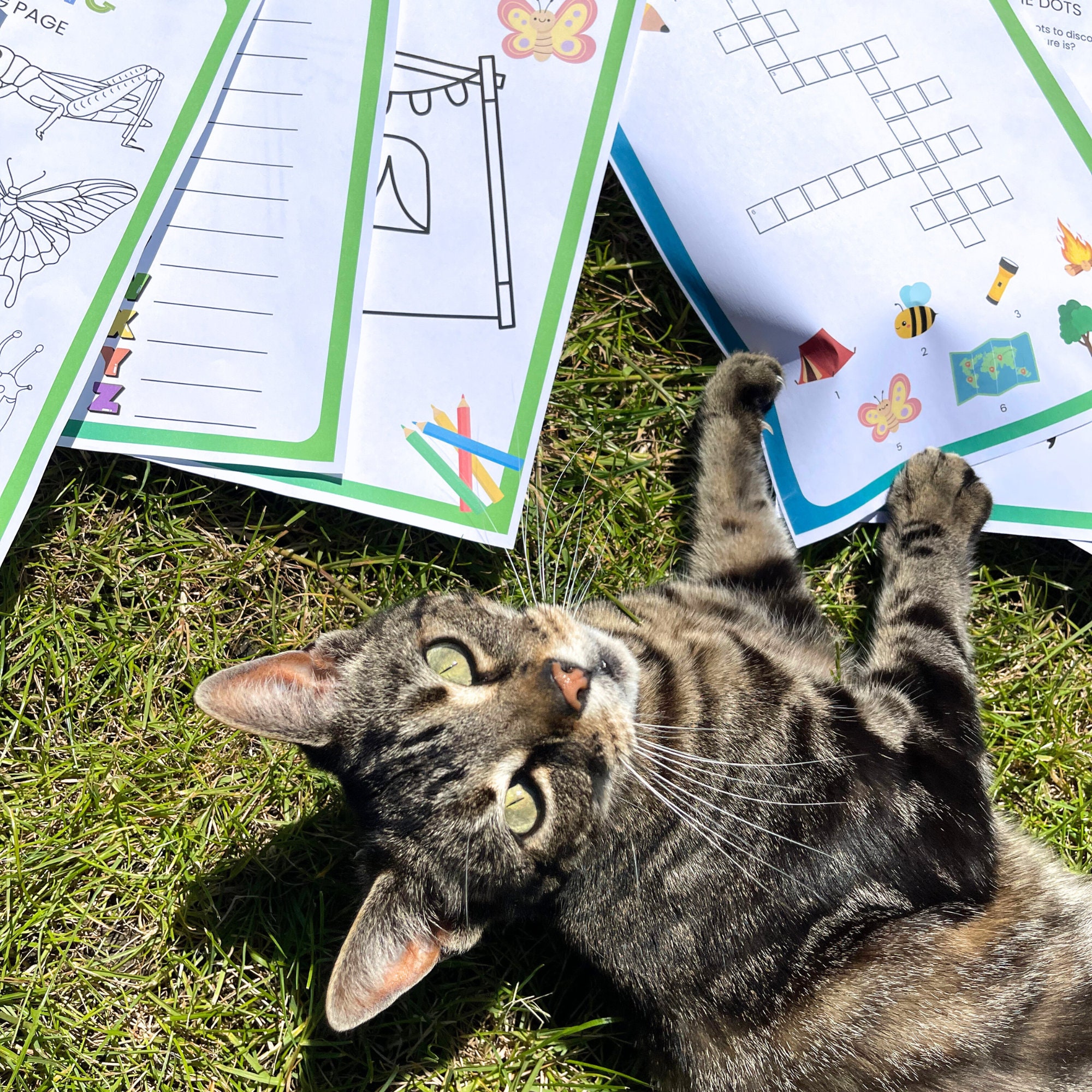 Camping Activity Pack for Kids UK A4 | Digital Download Childrens ...