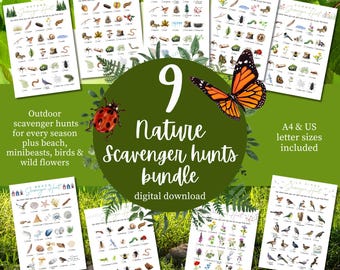 Wild Bird Scavenger Hunt, Printable Outdoor Walk Activities for ...