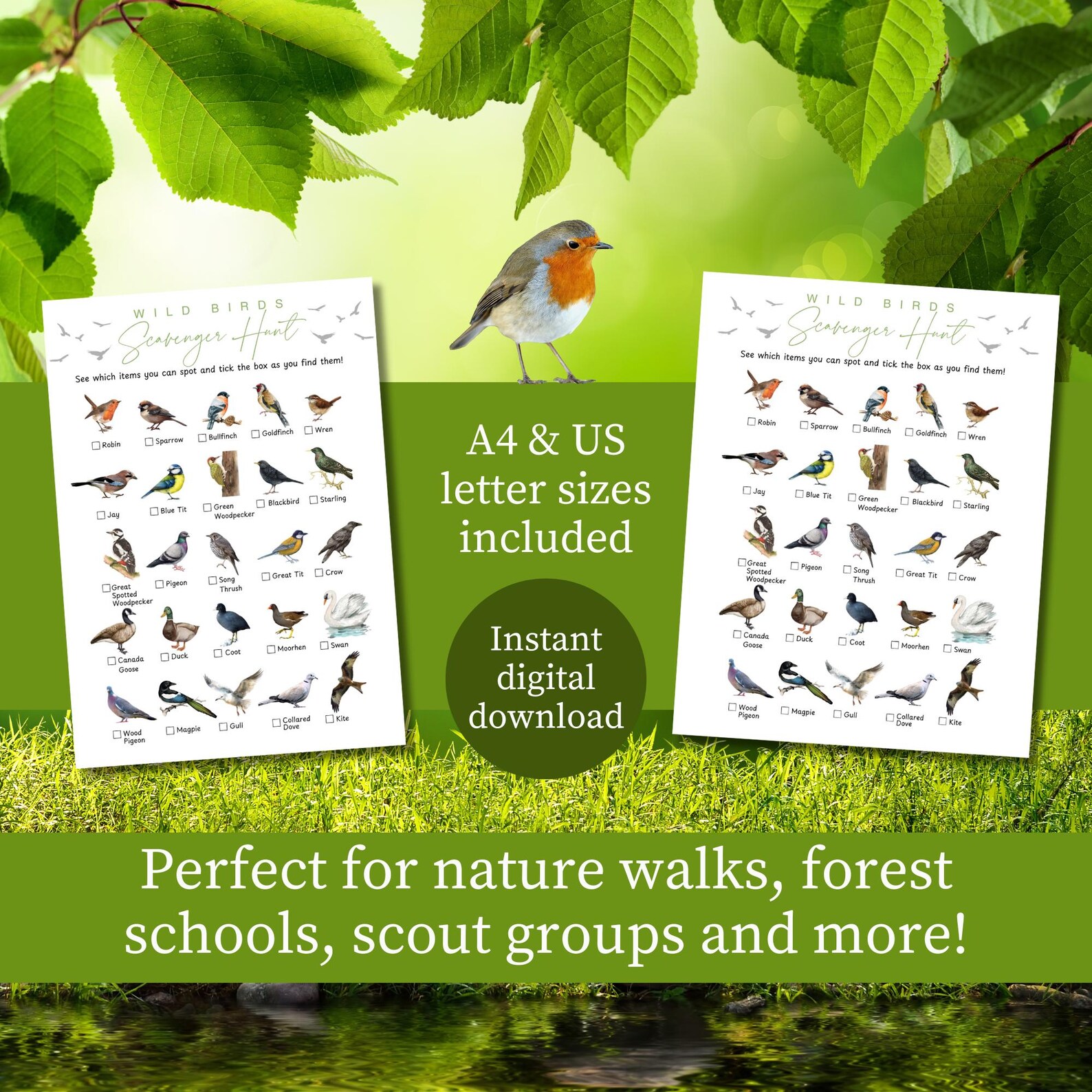 Wild Bird Scavenger Hunt, Printable Outdoor Walk Activities for ...