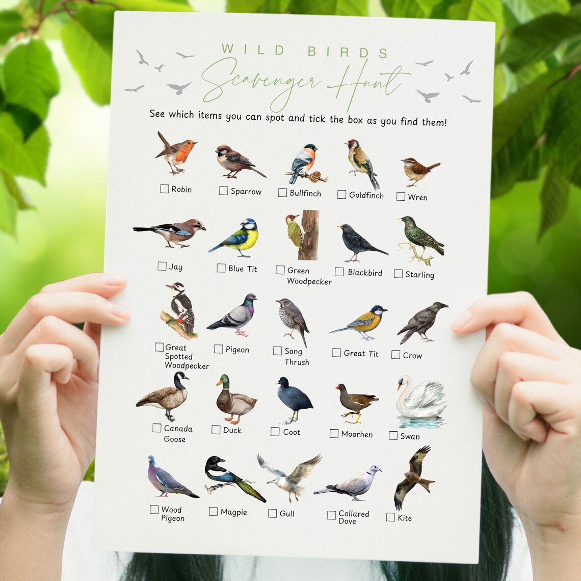 Wild Bird Scavenger Hunt, Printable Outdoor Walk Activities for ...