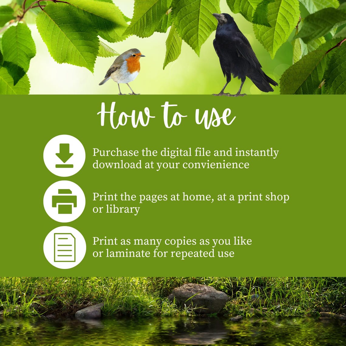 Wild Bird Scavenger Hunt, Printable Outdoor Walk Activities for ...